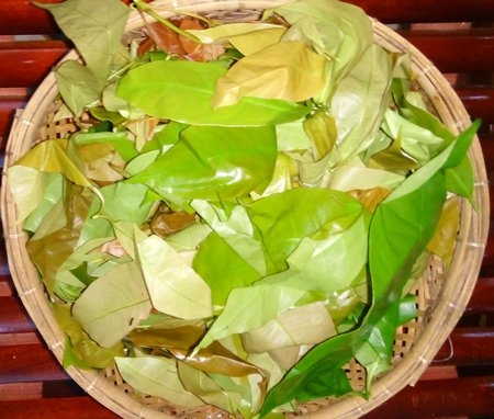 "Lá bép rau rừng thêm thắm tình anh nuôi" - Vĩnh Long Online