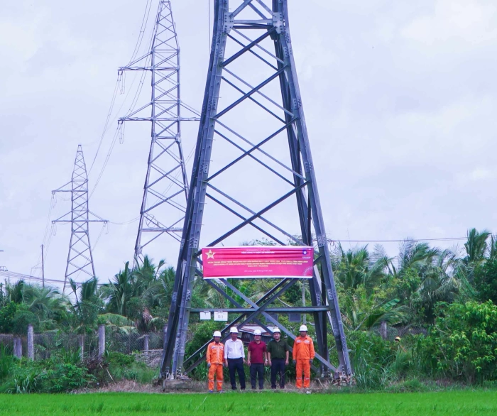 Đóng điện công trình phân pha dây dẫn đường dây 110kV Vũng Liêm – Trà Vinh 2 - Báo điện tử Báo ...